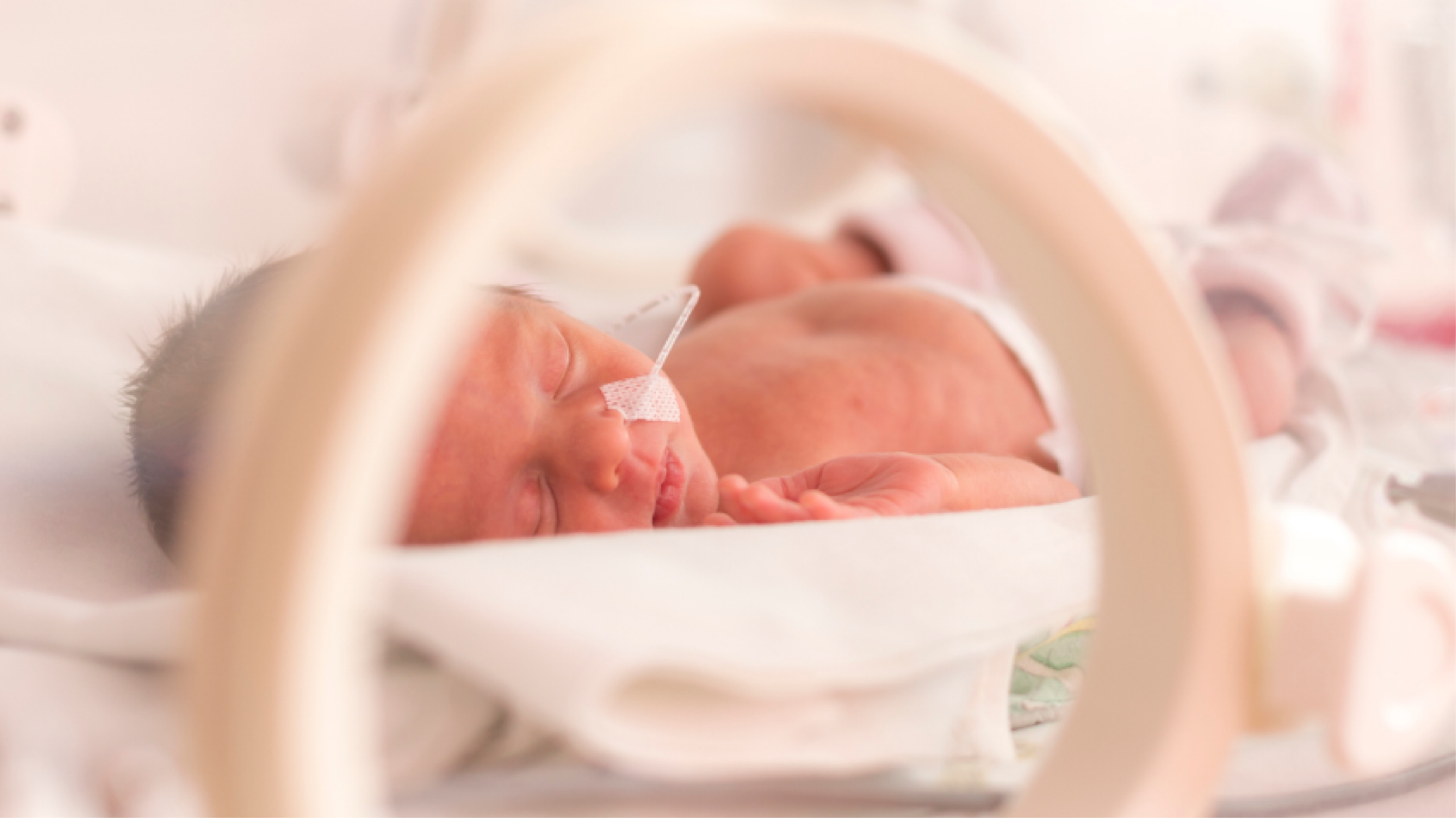 The Promise of Newborn Stem Cells - Smart Cells Storage Bank in UAE ...